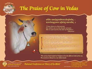 Go Raksha | Struggle for Hindu Existence