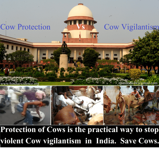 Save Indian Heritage breed Cows | Struggle for Hindu Existence