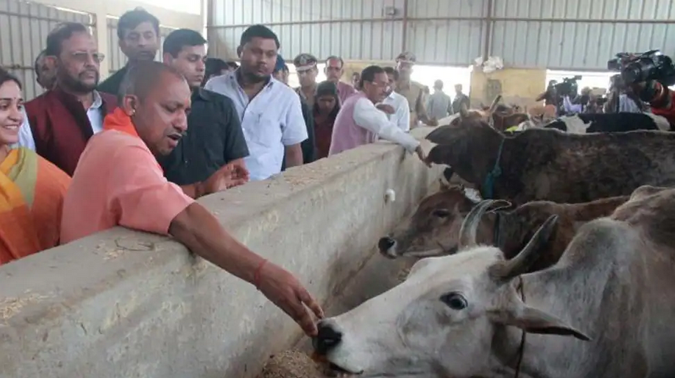 Cow Protection | Struggle for Hindu Existence